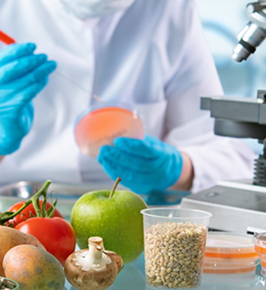 Gastromeals sce - Spoon It gerechten